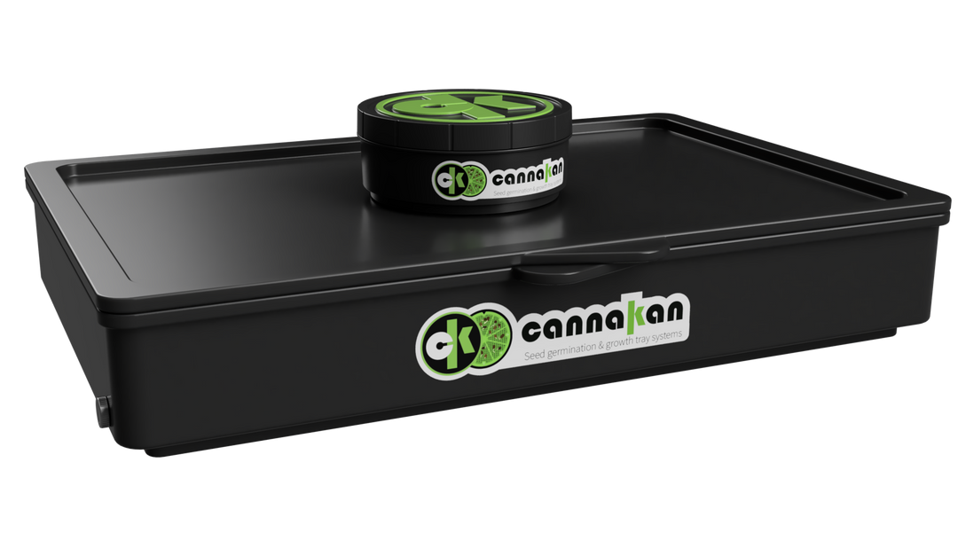 TRā Coming Soon – Cannakan | US