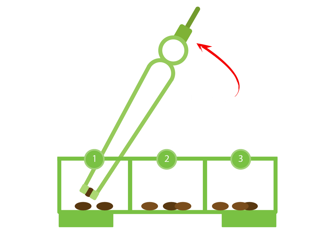 Cannakan™ - Germinating Seeds: Kan®